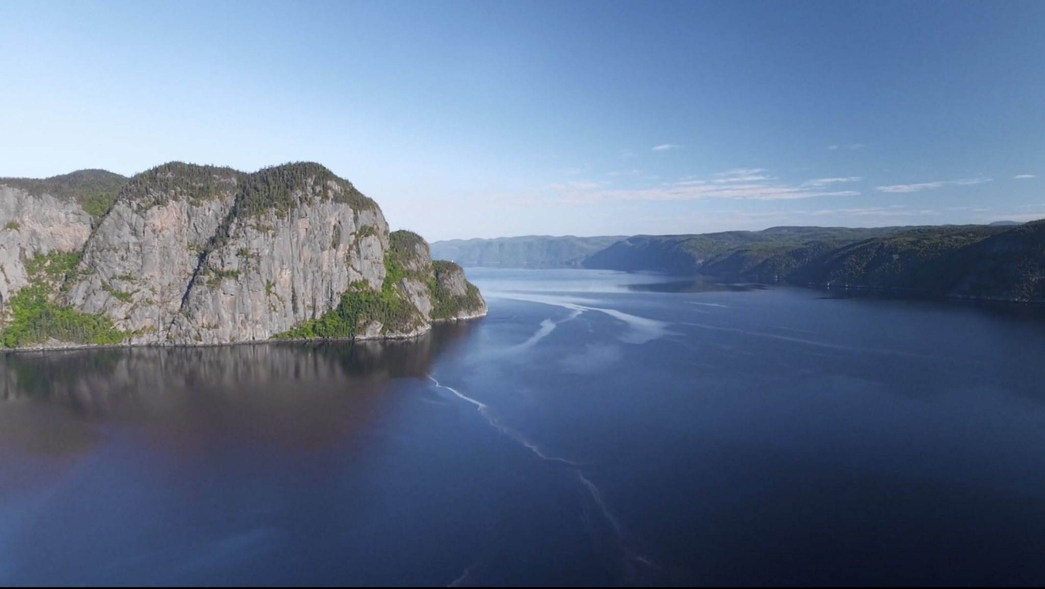 Viens voir les baleines - Les baleines du Québec
