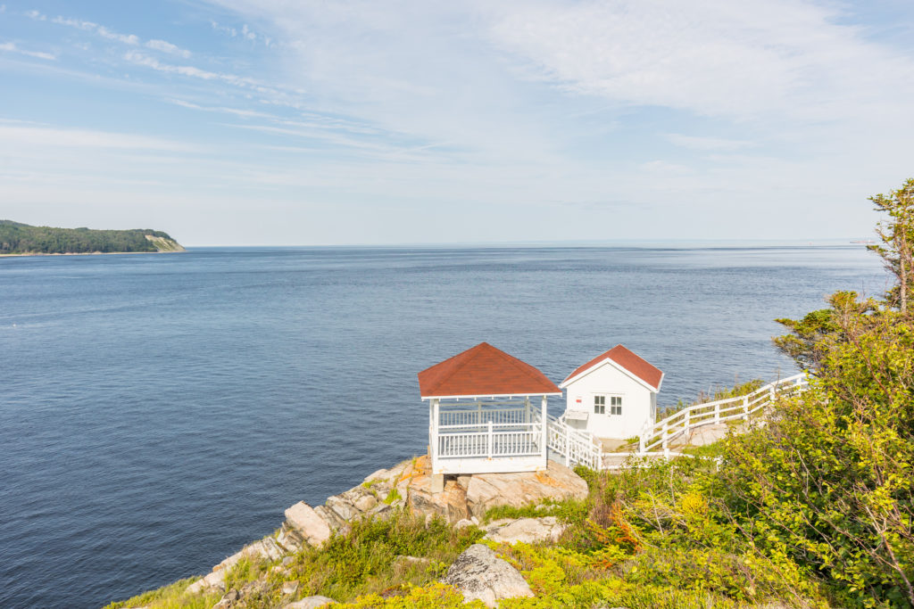 Whales of Quebec - An unforgettable experience